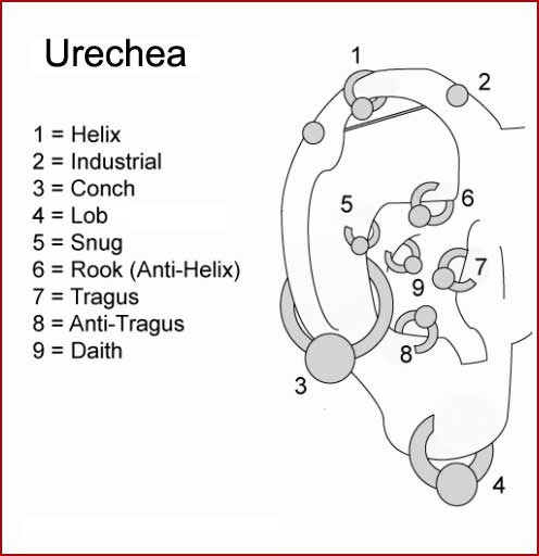 Piercing-urile în ureche - 2ndface Tattoo Salon Tatuaje Bucuresti